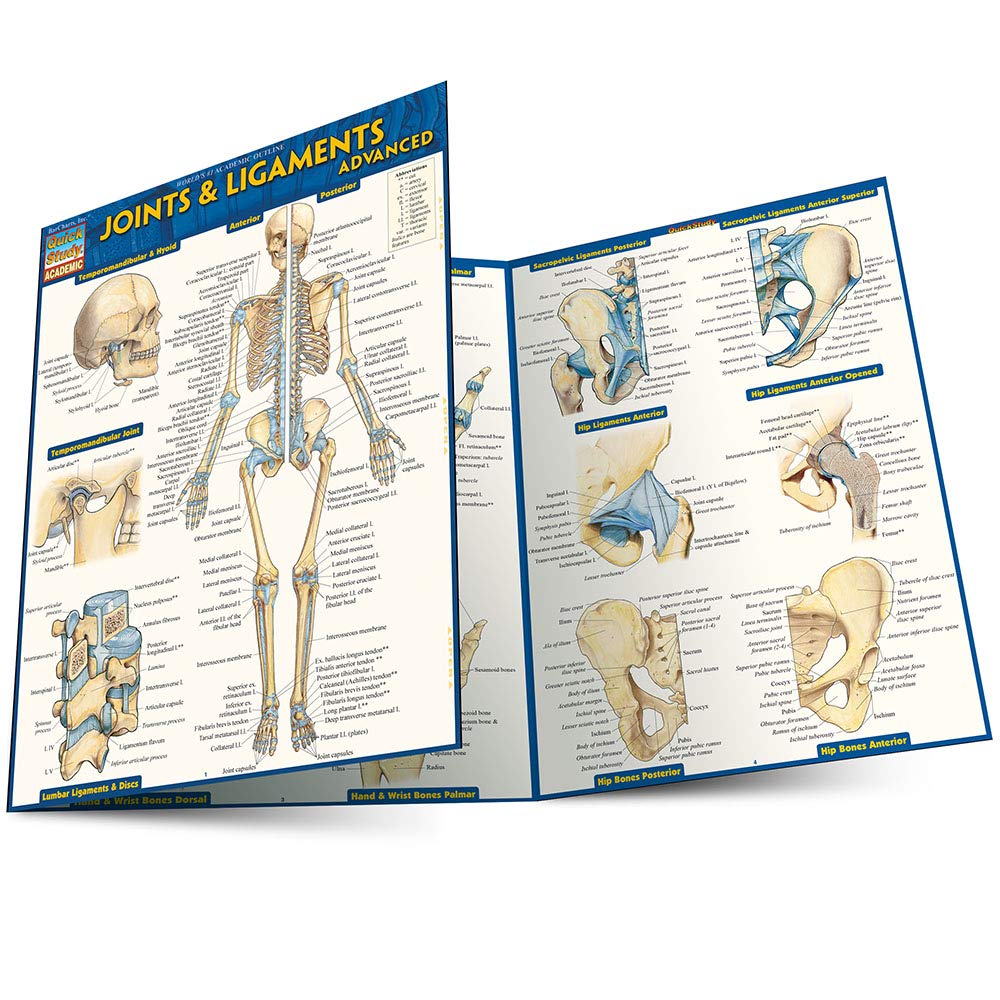 Joints & Ligaments Advanced (Quick Study Academic): BarCharts, Inc ...