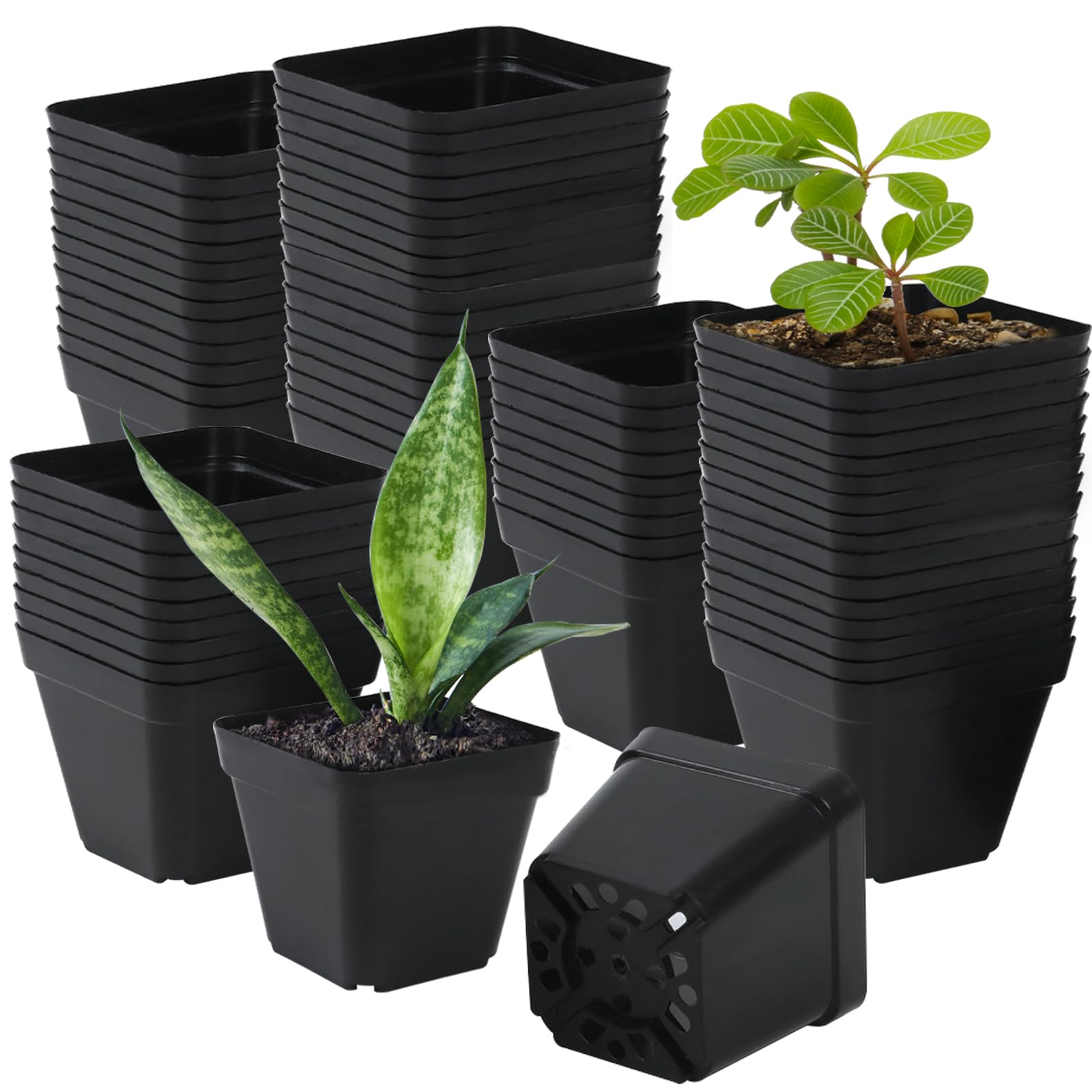Amazon.com: ALMOXVYE 100 Pack 4 Inch Square Nursery Plant Pots, Plastic ...