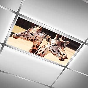 Bird Ceiling Light Covering Insert 4' x 2' feet (Two Giraffes Neck Head ...