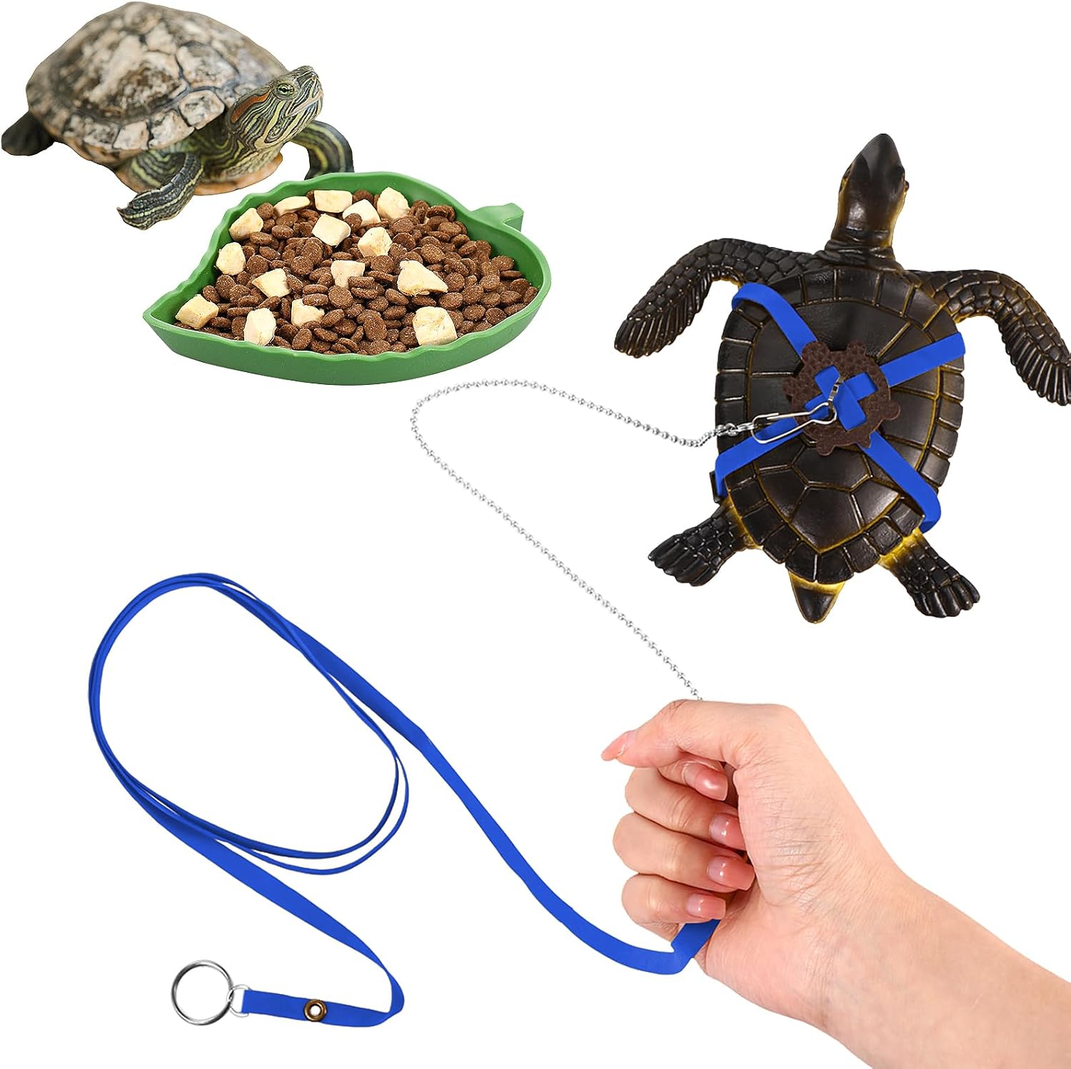 Amazon.com : Berlune 2 Pieces Turtle Leash with Reptile Water Bowl ...