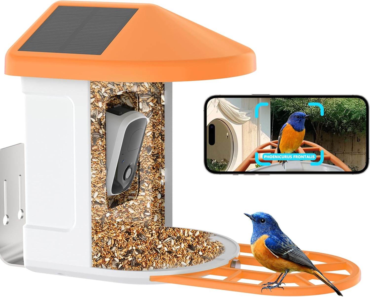 Smart Bird Feeder Camera - 1080P HD Bird Feeder with Camera, Auto ...