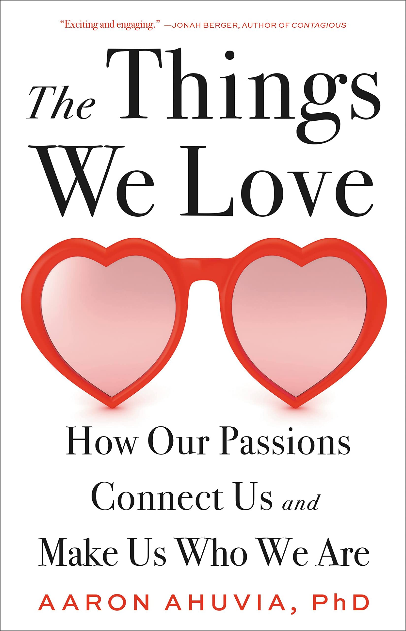 The Things We Love: How Our Passions Connect Us and Make Us Who We Are: Ahuvia PhD, Aaron ...