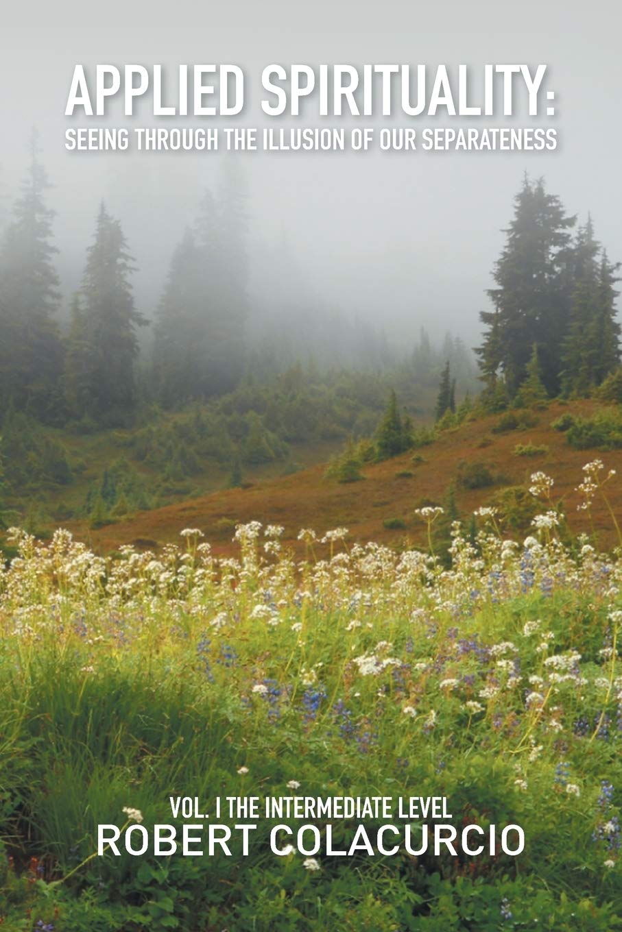 Applied Spirituality: Seeing Through the Illusion of Our Separateness ...