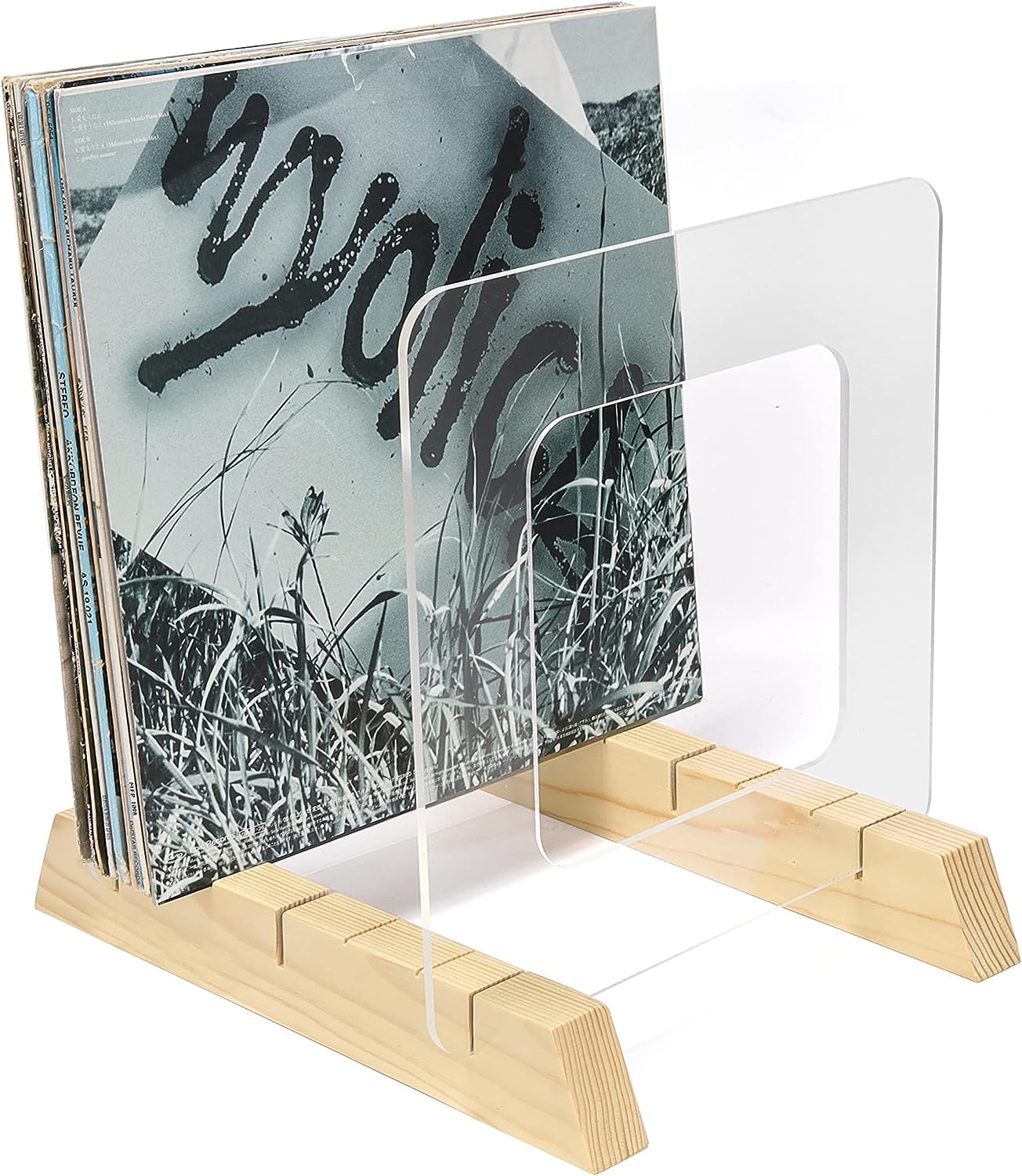 Amazon.com: BADALU Vinyl Record Storage Holder, Vinyl Records Storage ...