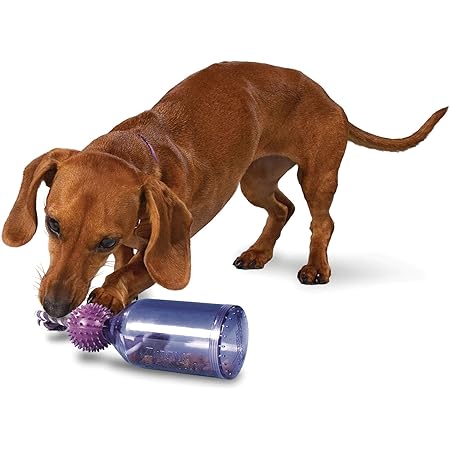 Pet Supplies : Pet Toy Balls : PetSafe Busy Buddy Kibble Nibble Meal ...