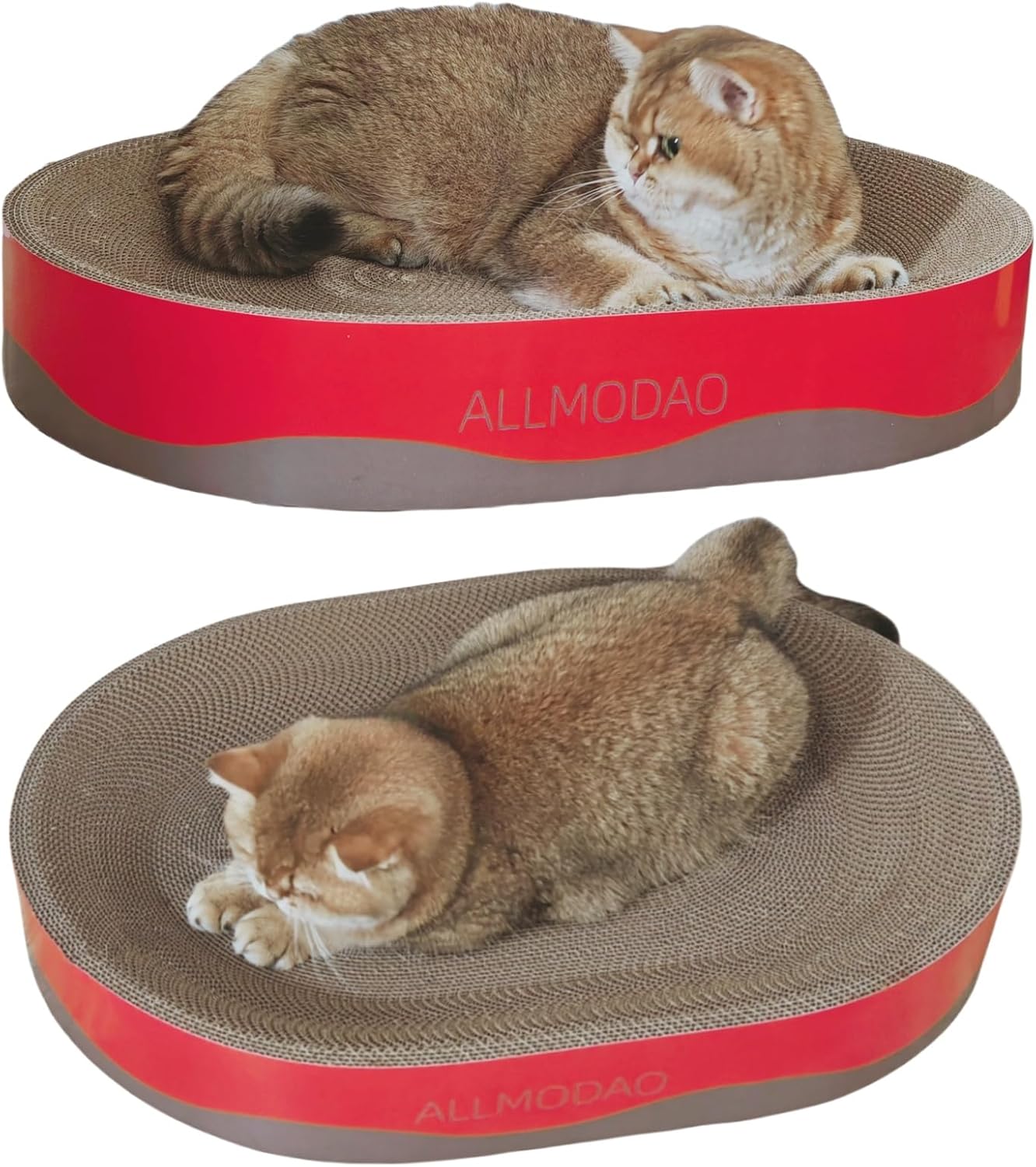 Amazon.com : Spindro 2 Pack Extra Large Cat Scratcher Cardboard, Oval ...