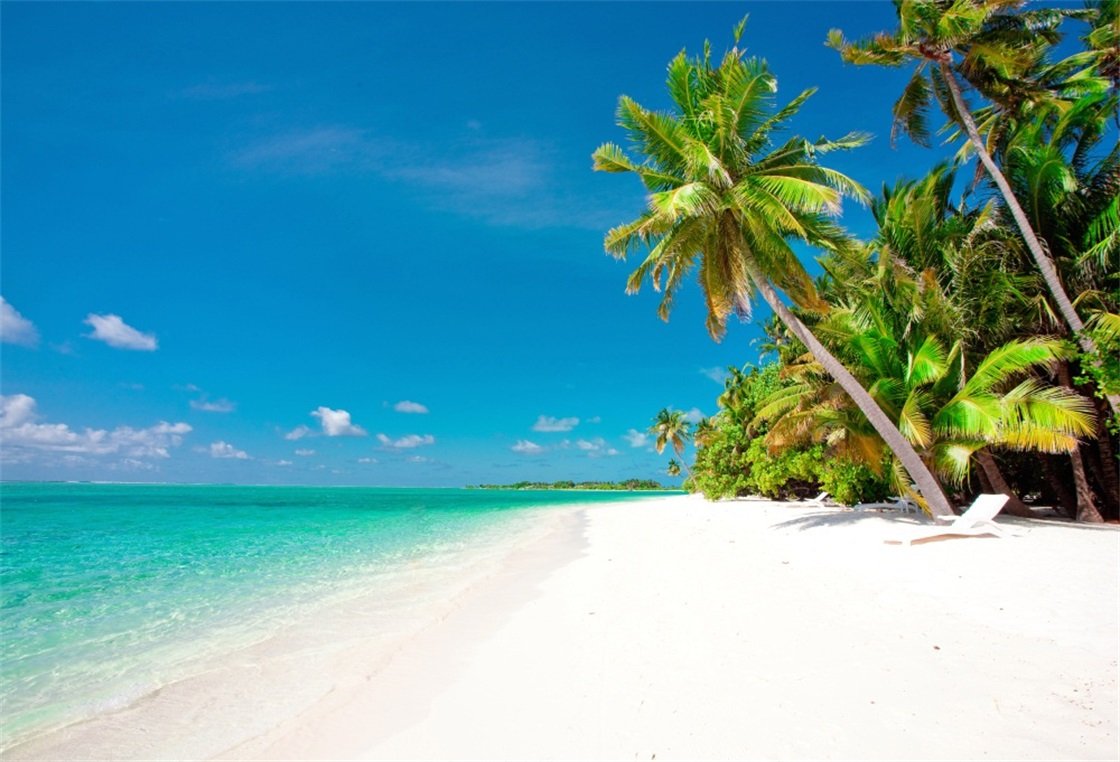 Amazon.com : AOFOTO 9x6ft Beach Photography Studio Backdrop Tropical ...