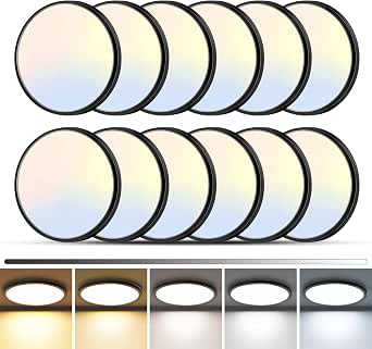 zemty 12Pack LED Flush Mount Ceiling Light, 12Inch 24W Dimmable Ceiling ...
