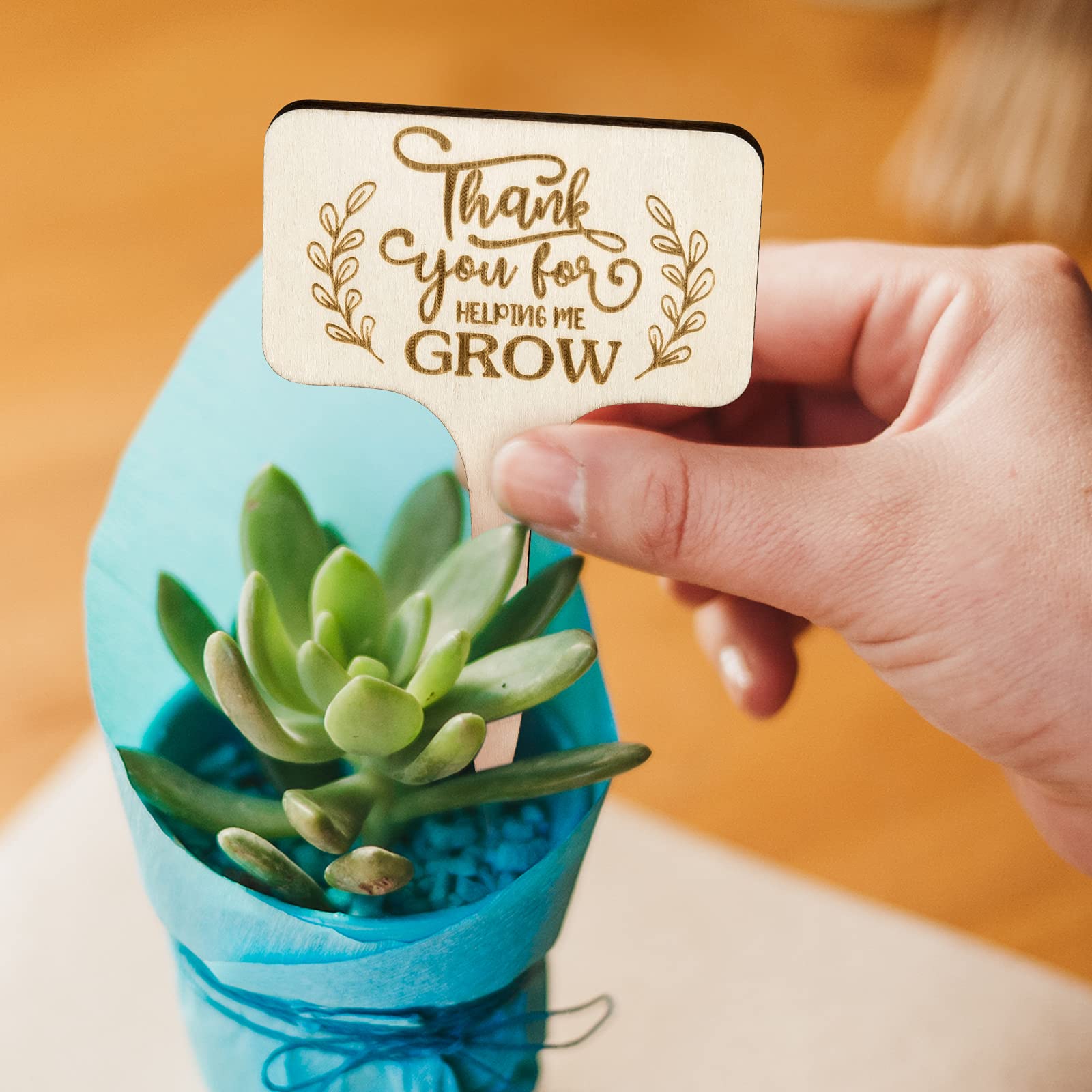 Snapklik.com : Succulent Wooden Tags Thank You For Helping Me Grow T ...