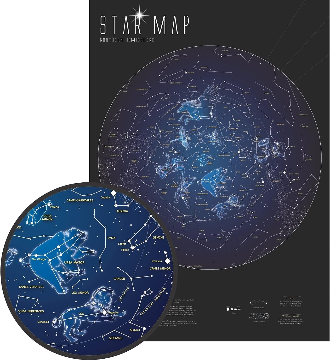Amazon.com: Waypoint Geographic Glow in The Dark Star Map, Laminated ...