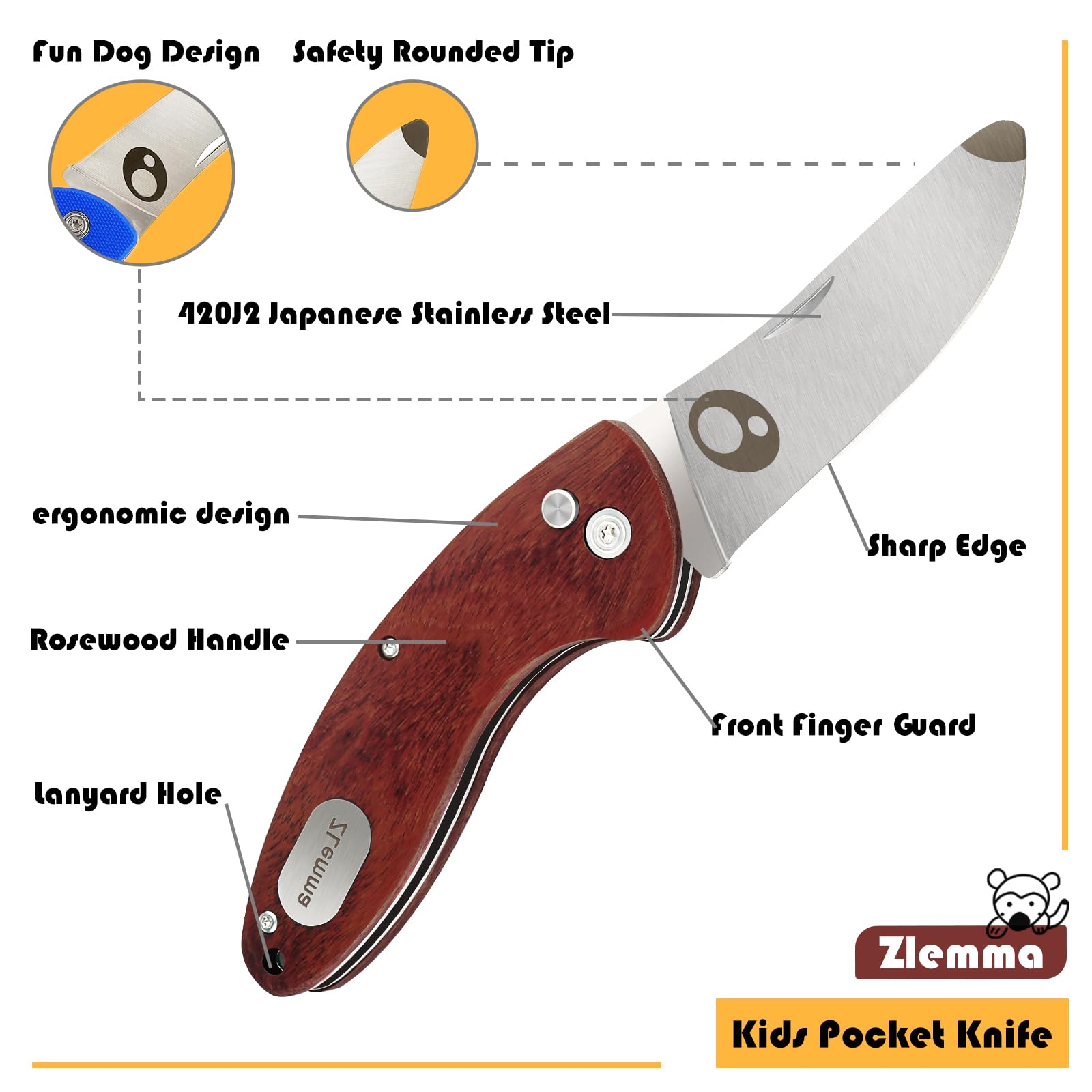 Snapklik.com : ZLemma Kids Pocket Knife
