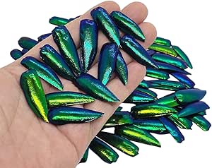 Amazon.com: WitnyStore Jewel Beetle Wings Emerald Green 100 Pieces Set ...