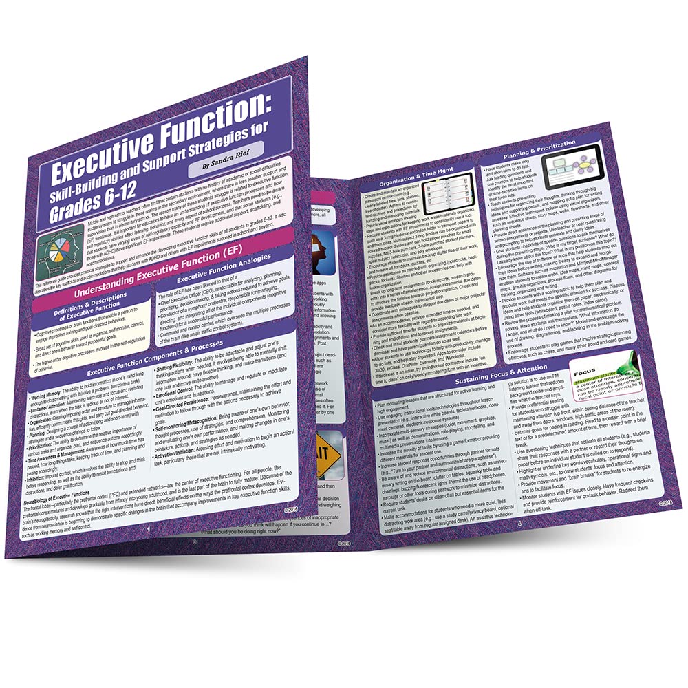 Amazon.com: Executive Function: Skill Building and Support Strategies ...