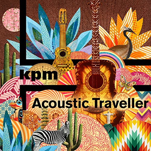 Amazon.com: Acoustic Traveller : Dominik Johnson, Alex Tschallener ...