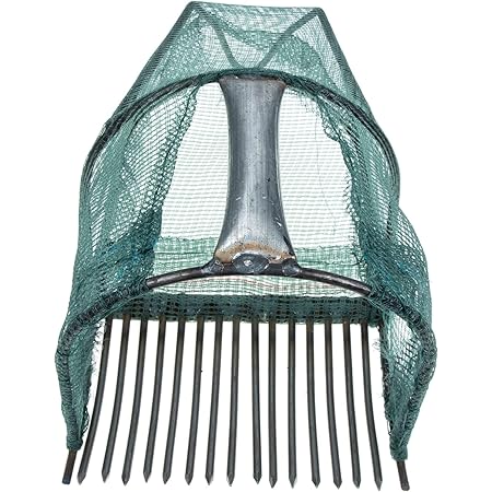 Amazon.com : Wooden Berry Picker with Stainless Steel Comb Blueberry ...