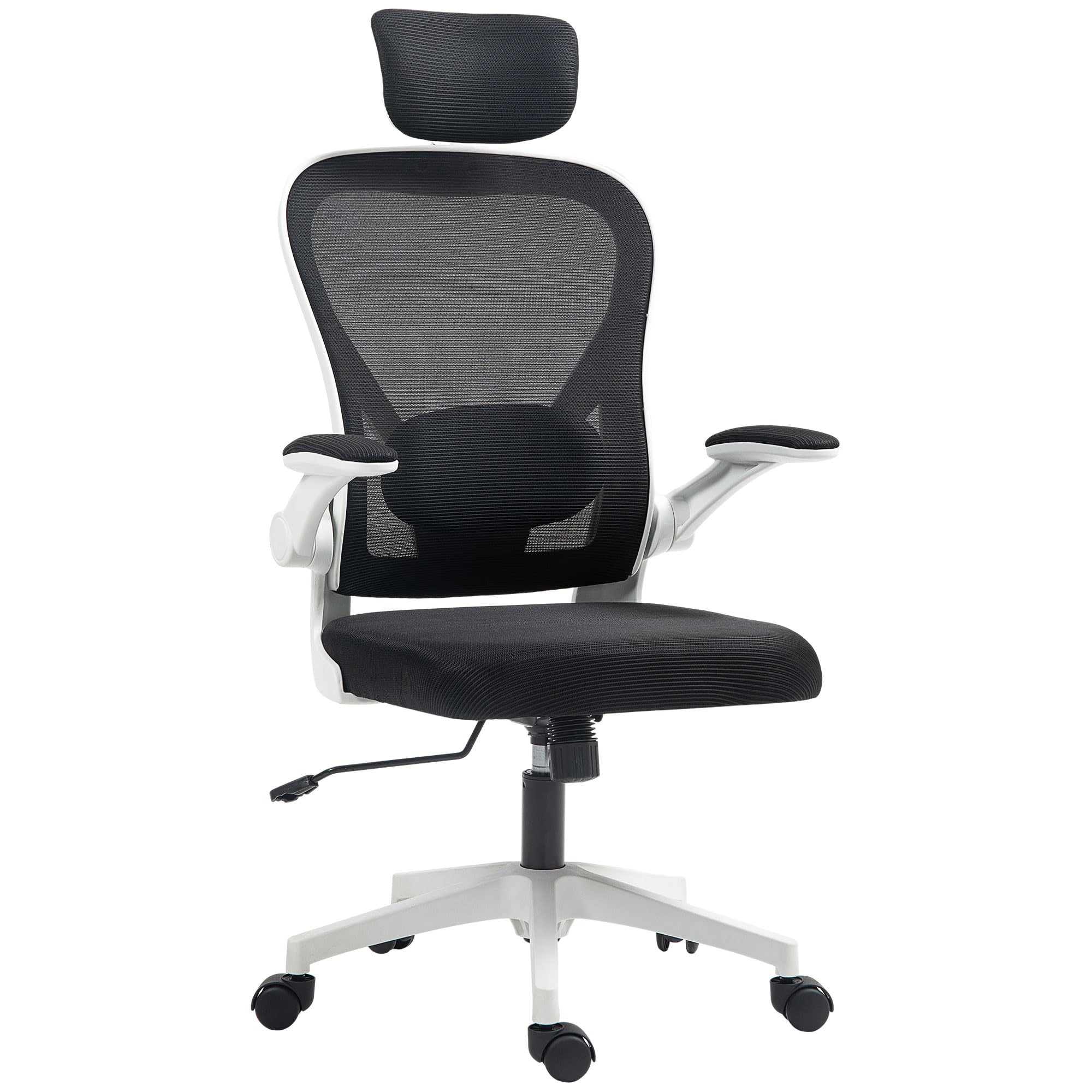 Amazon.com: HOMCOM Ergonomic Office Chair, High Back Desk Chair with ...