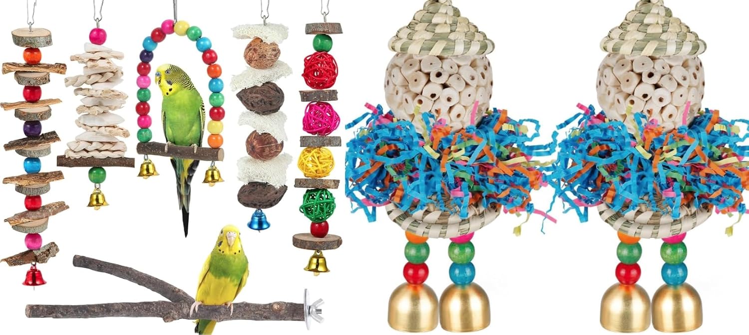 Amazon.com : Conure Toys, Bird Toys Parrot Foraging Shredder Hanging ...