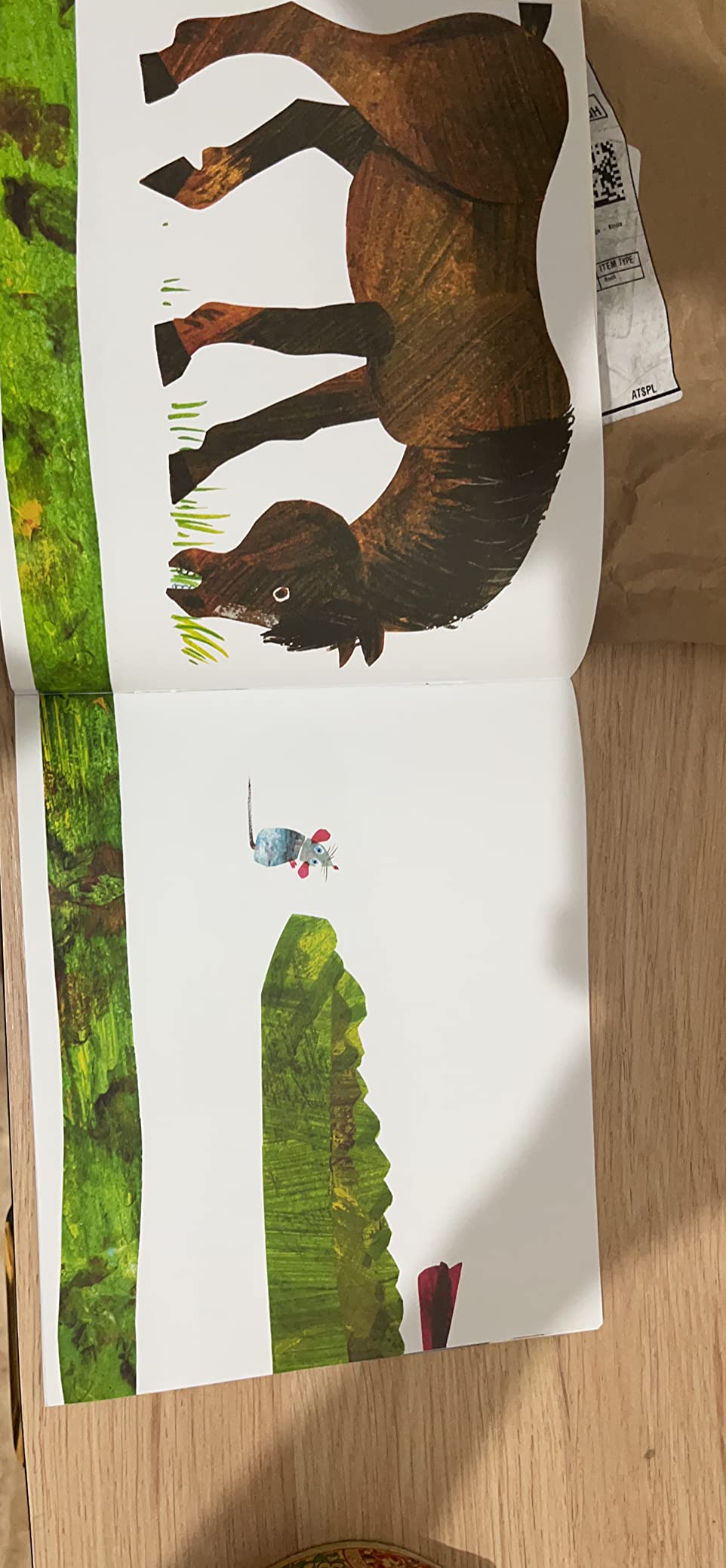 Do You Want To Be My Friend? : Carle, Eric: Amazon.in: Books