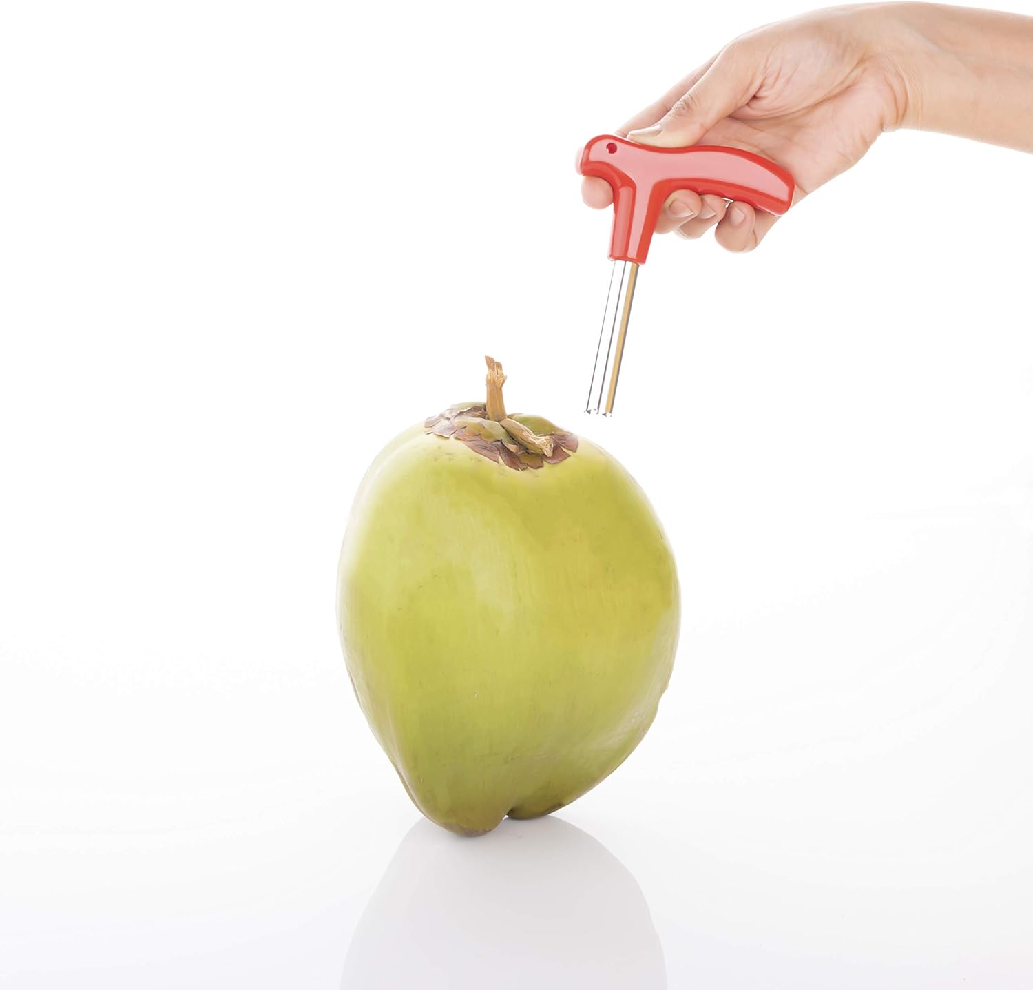 Amazon.com: Ritu J-282 Coconut Opener, Stainless Steel Coconuts Drill ...