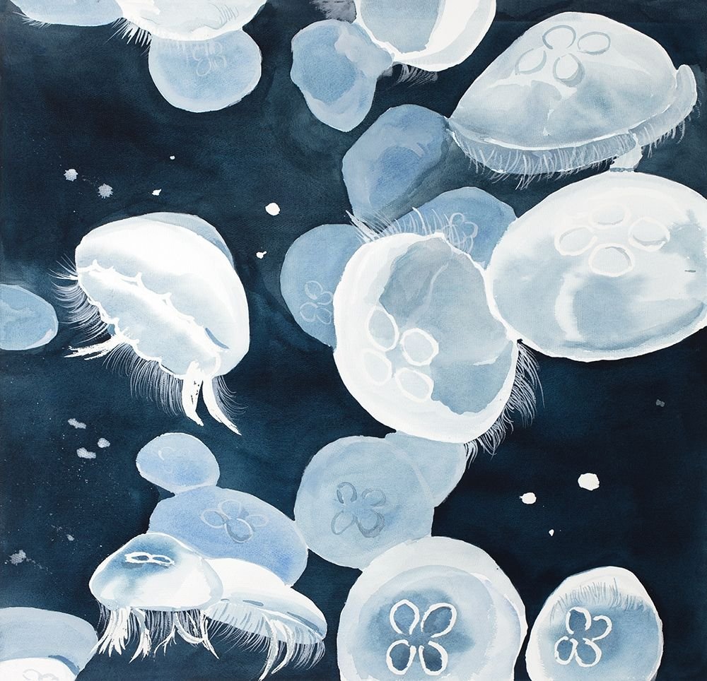 Cnidarian Collection