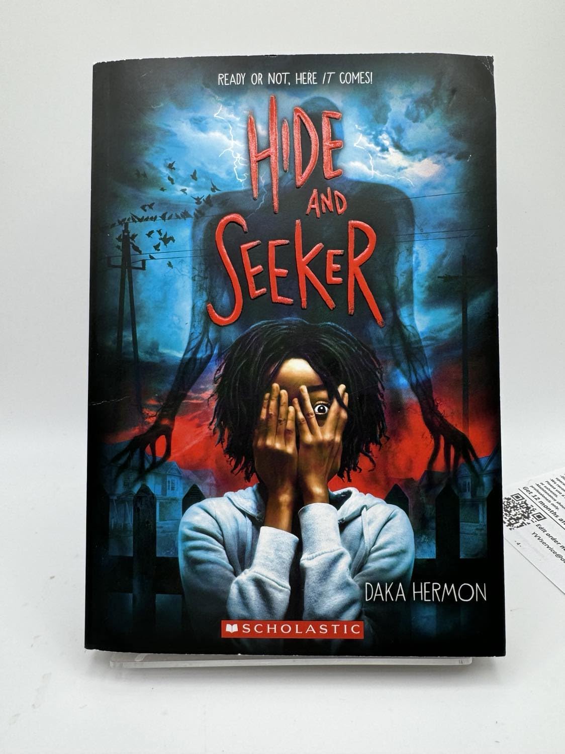 Hide and Seeker: Daka Hermon: 9781338583632: Amazon.com: Books
