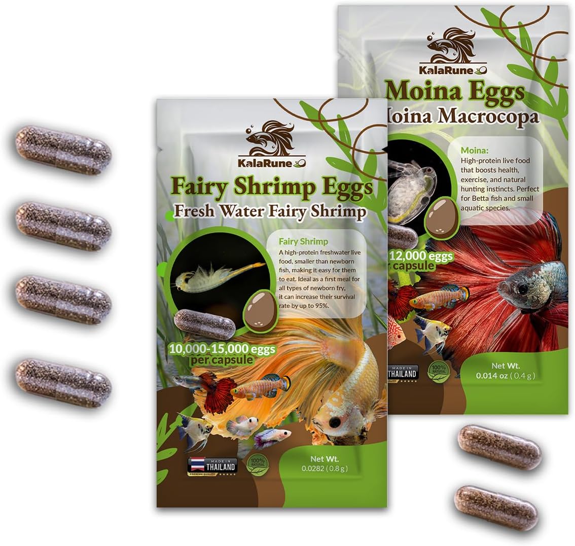 Amazon.com : KalaRune Moina macrocopa & Fairy Shrimps Eggs - for ...