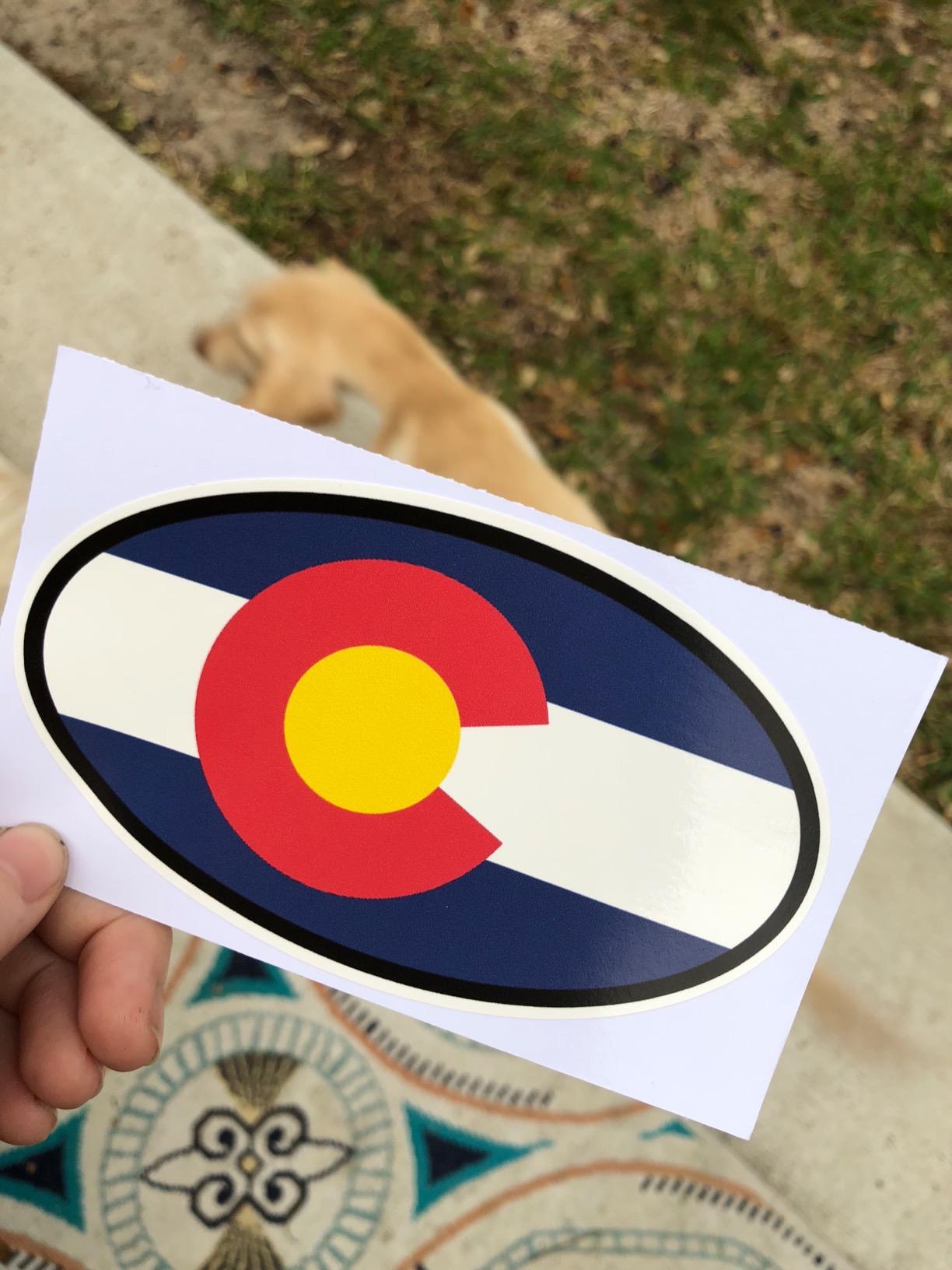 Amazon.com: Colorado State Flag Car Bumper Sticker Decal Oval : Sports ...