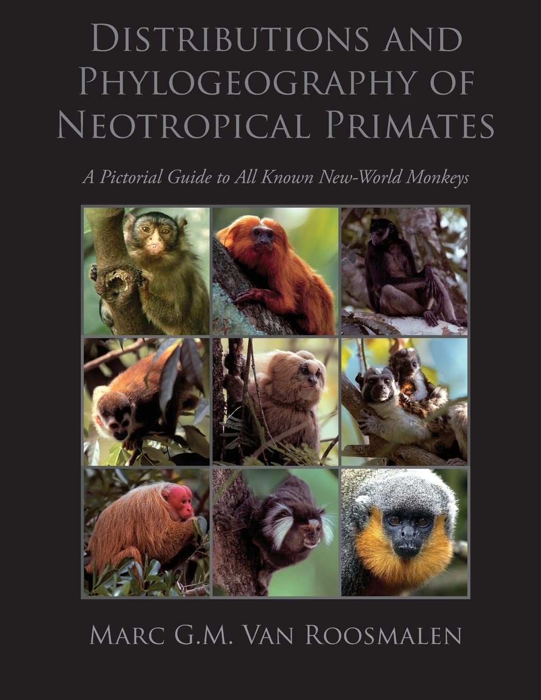 Distributions and Phylogeography of Neotropical Primates: A Pictorial ...