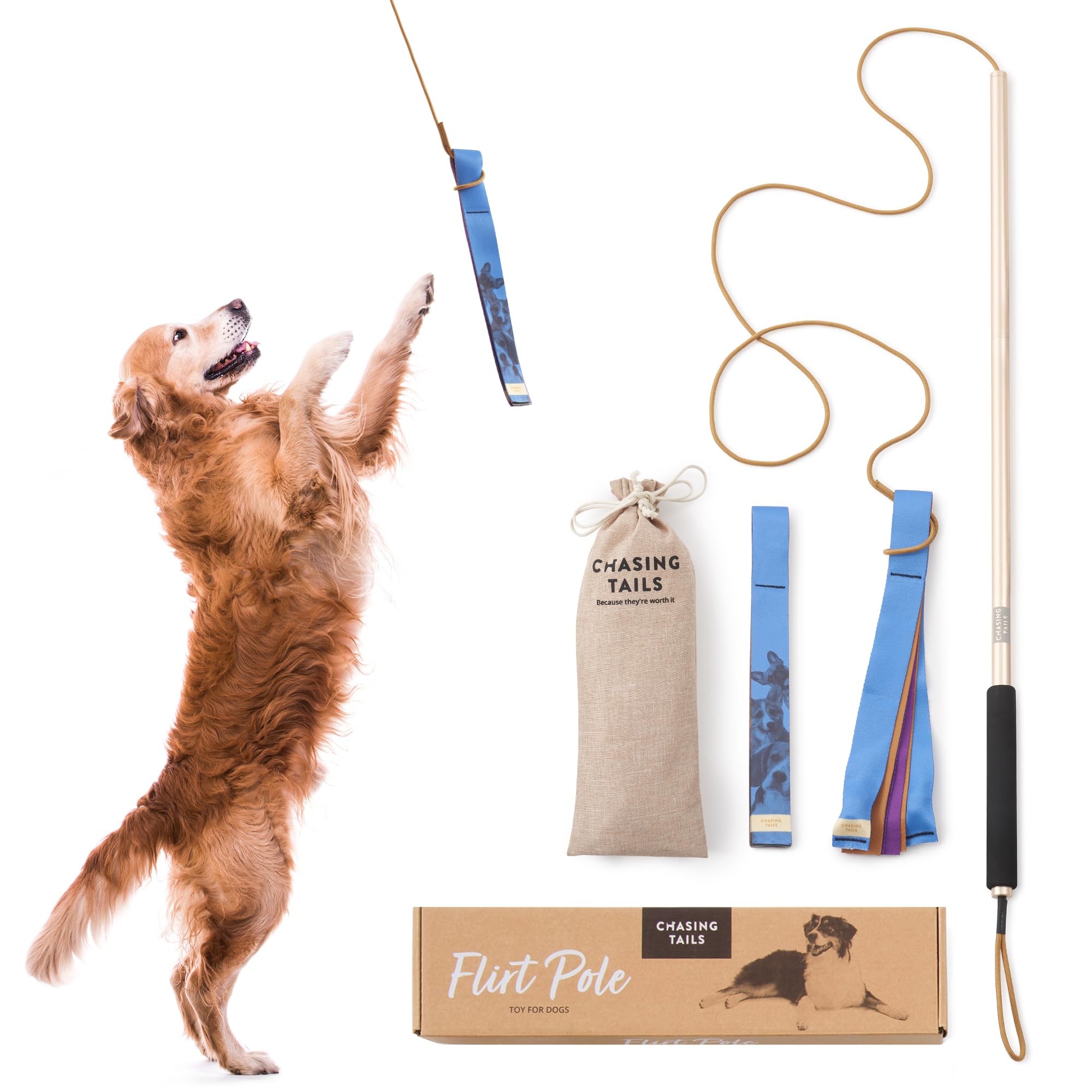 Pet Supplies : Chasing Tails Flirt Pole for Dogs Heavy Duty - 36 Inch ...