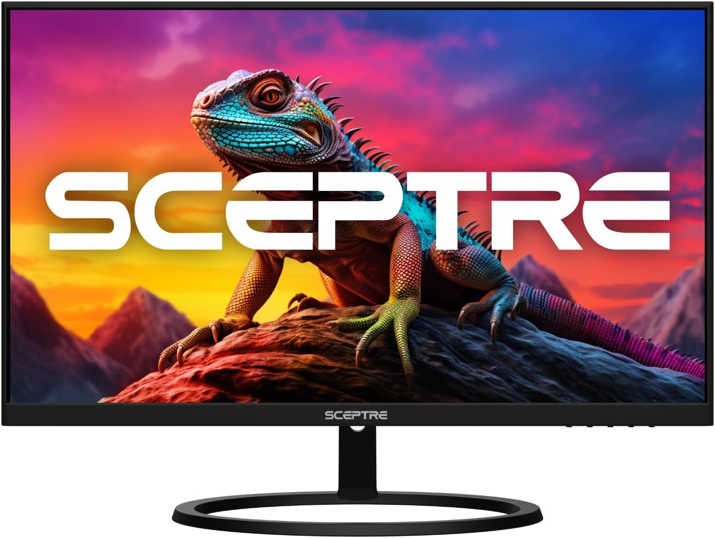 Amazon.com: Sceptre 27" IPS 2K Monitor QHD 2560 x 1440 75Hz Edgeless ...
