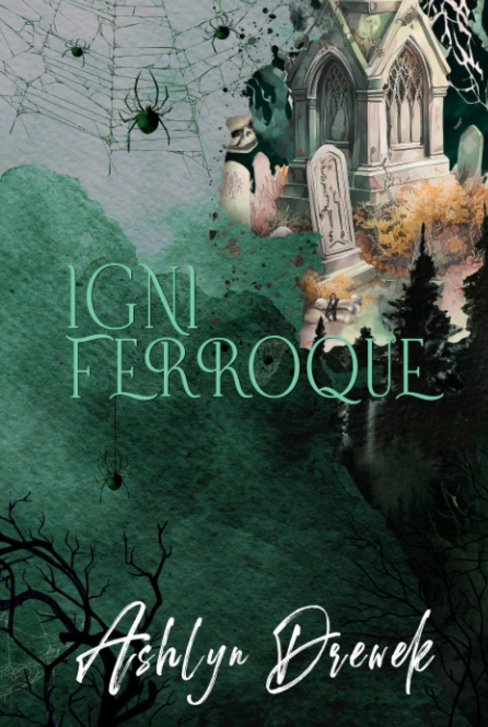 Igni Ferroque: A Dark MM Paranormal Romance (Tennebrose): Drewek ...