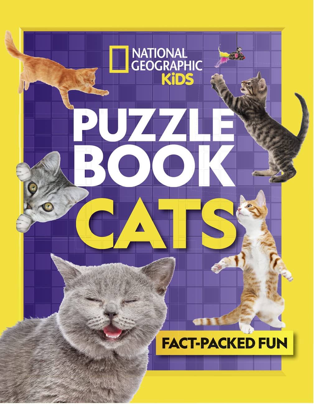 Ng Kids — Puzzle Book Cats: Brain-Tickling Quizzes, Sudokus, : National ...