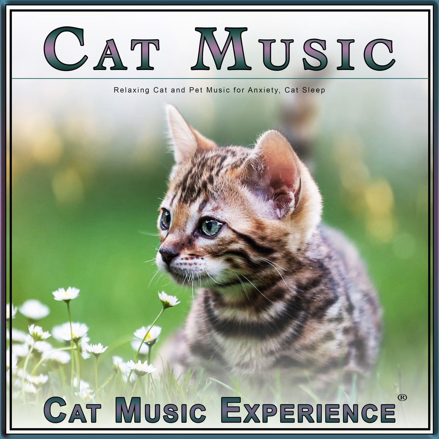 Spiritual Healing song by Official Pet Care Collection, Calm Music for Cats & Cat Music ...