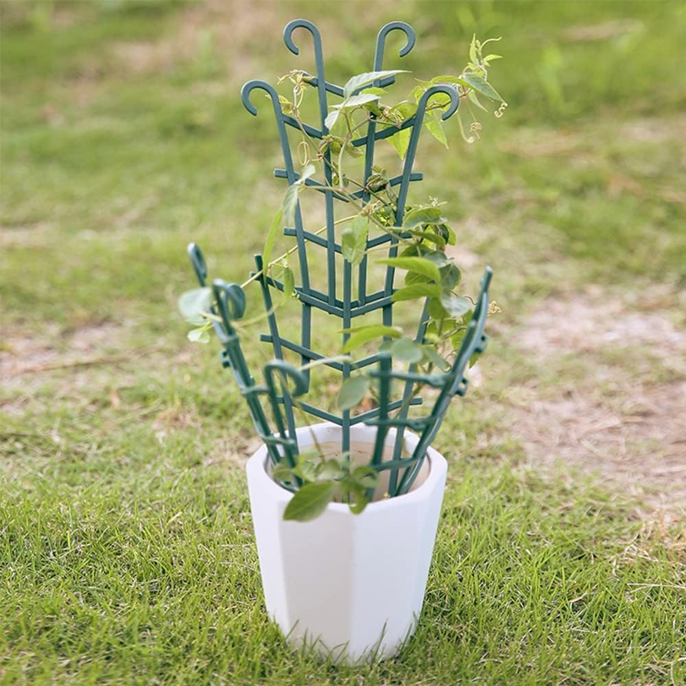 Amazon.com : Mini Garden Trellis for Indoor and Outdoor Climbing Plants ...