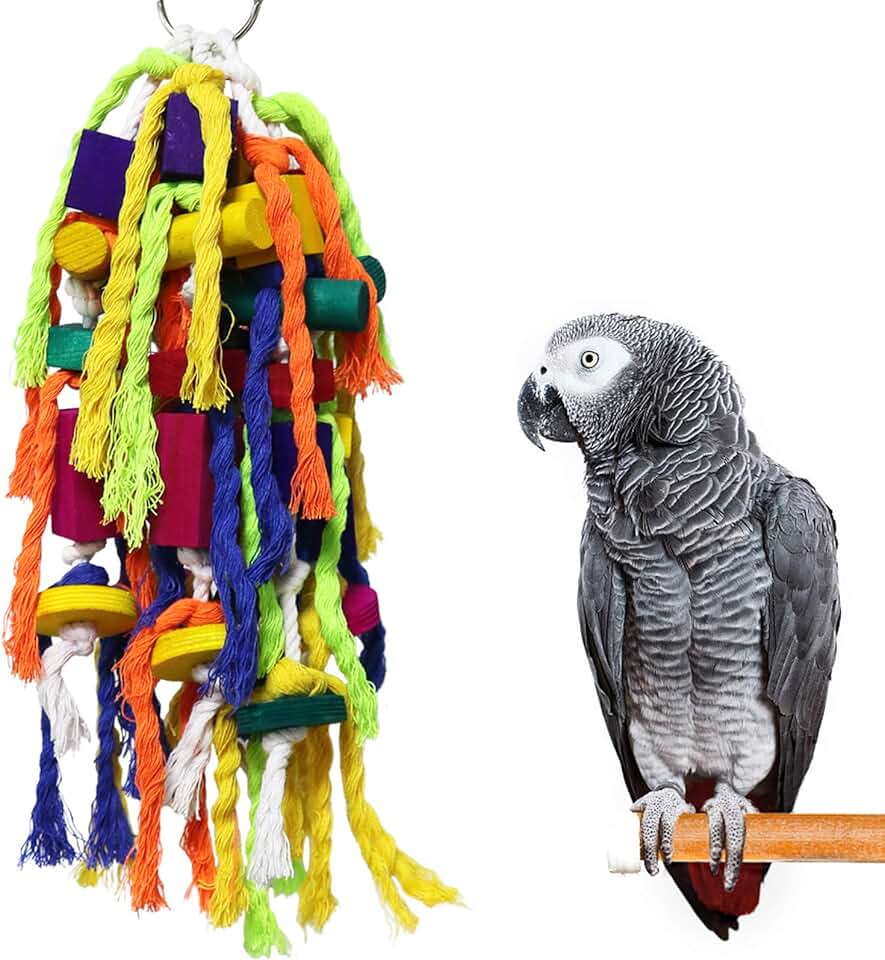 Amazon.co.uk: conure toy