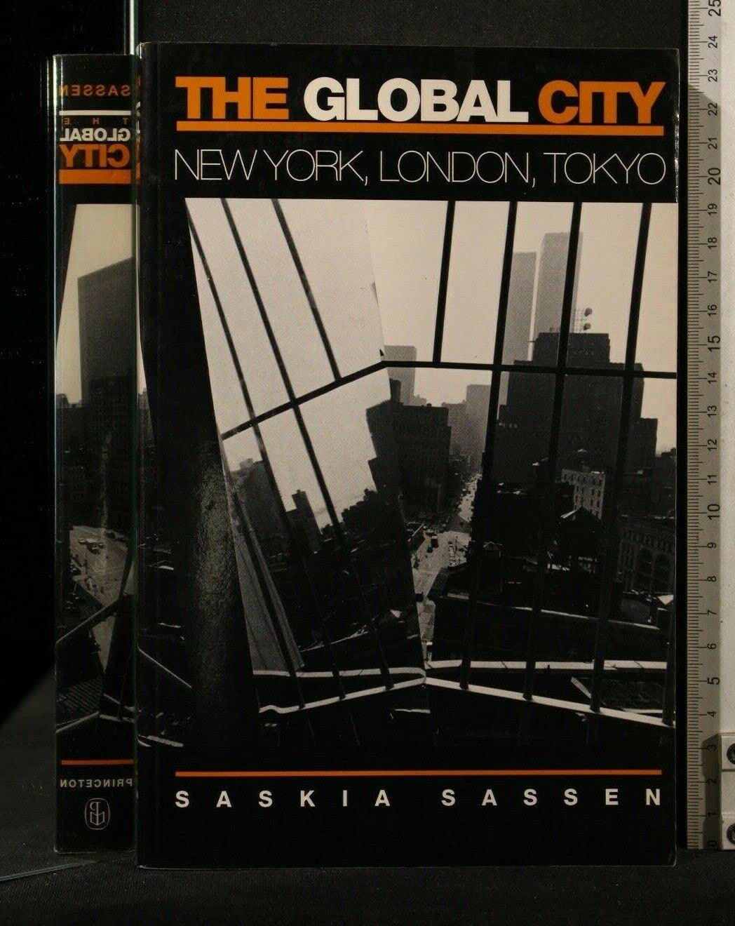 The Global City: Sassen, Saskia: 9780691025674: Amazon.com: Books
