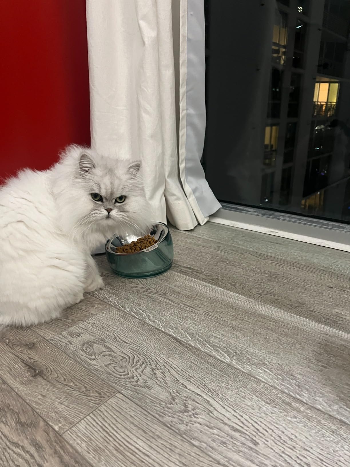 $4/mo - Finance Felli Oblik Elevated Cat Food Bowls 304 Stainless Steel ...