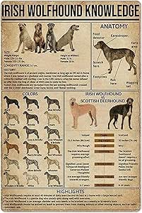 Amazon.com: ESETASOT Irish Wolfhound Knowledge Metal Tin Signs Vintage ...