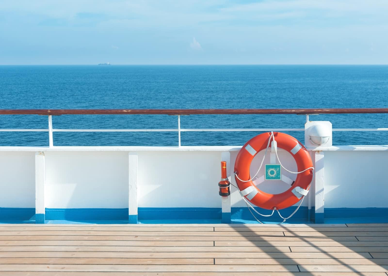 Amazon.com : BELECO Cruise Backdrop Fabric - 10x6.5ft Deck Backdrop for ...