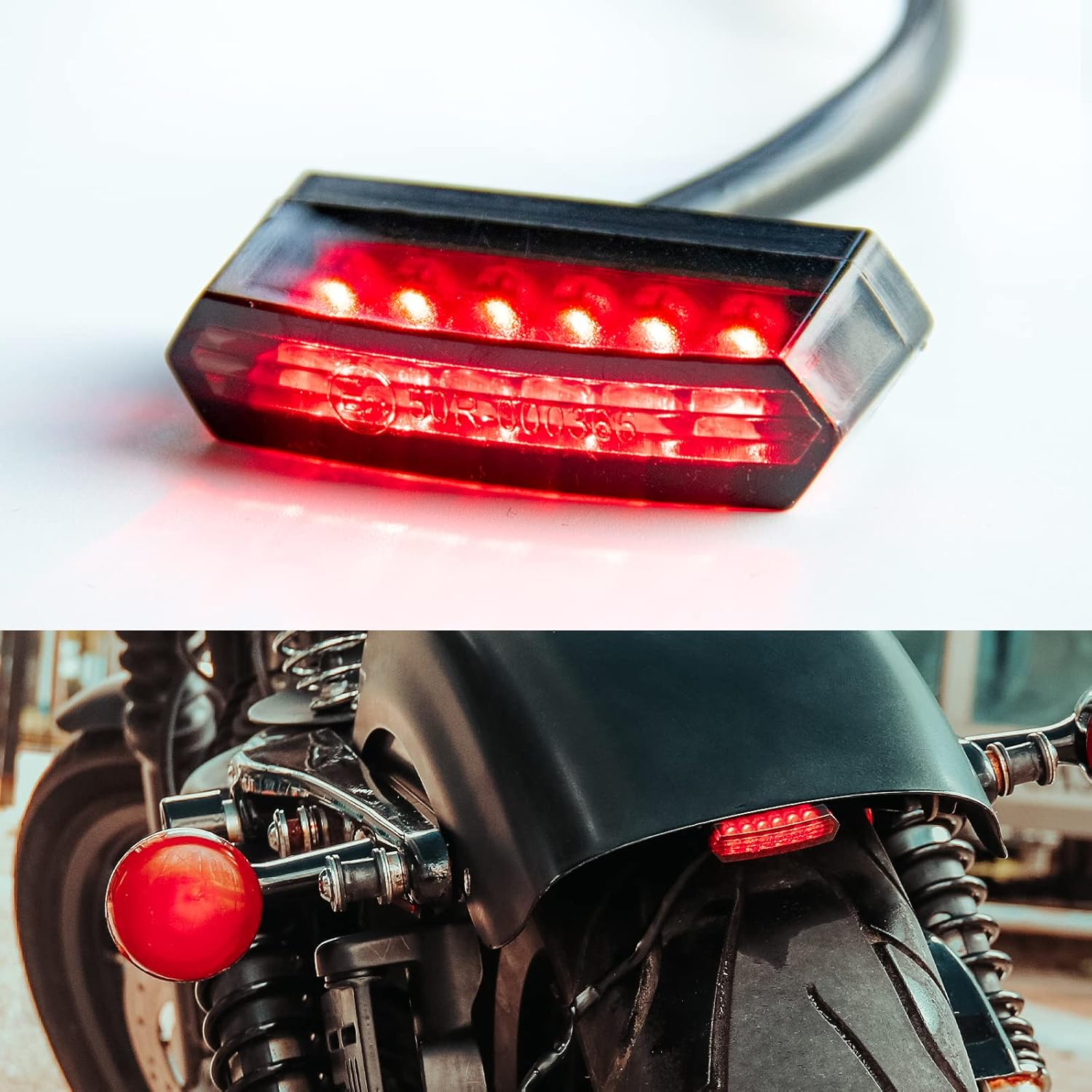 Amazon.com: WTZMOTO Motorcycle Tail Light Brake Lights -12V Motorbike ...