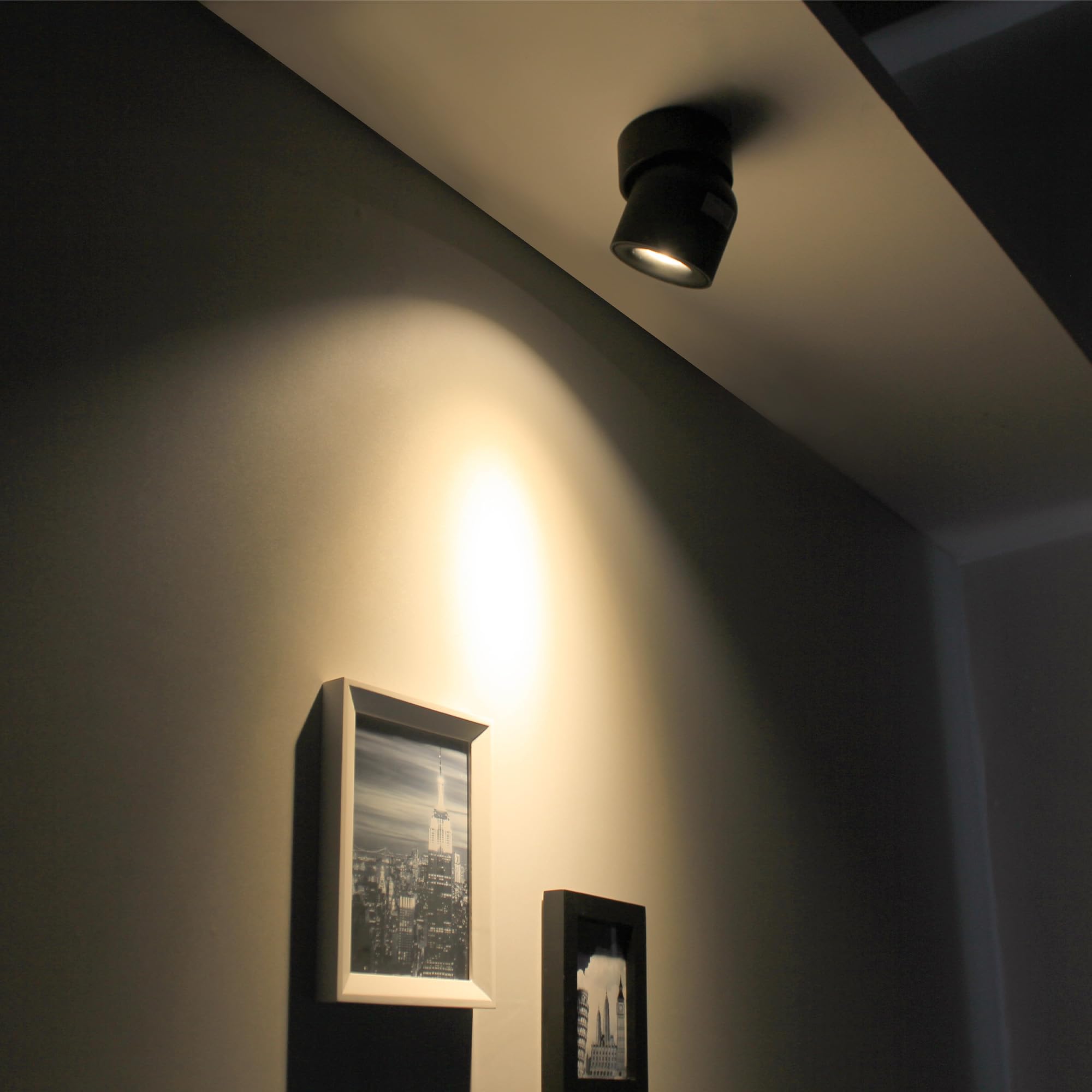 Aisilan LED Indoor Black Ceiling Spot Light 9W Surface Mounted Light ...