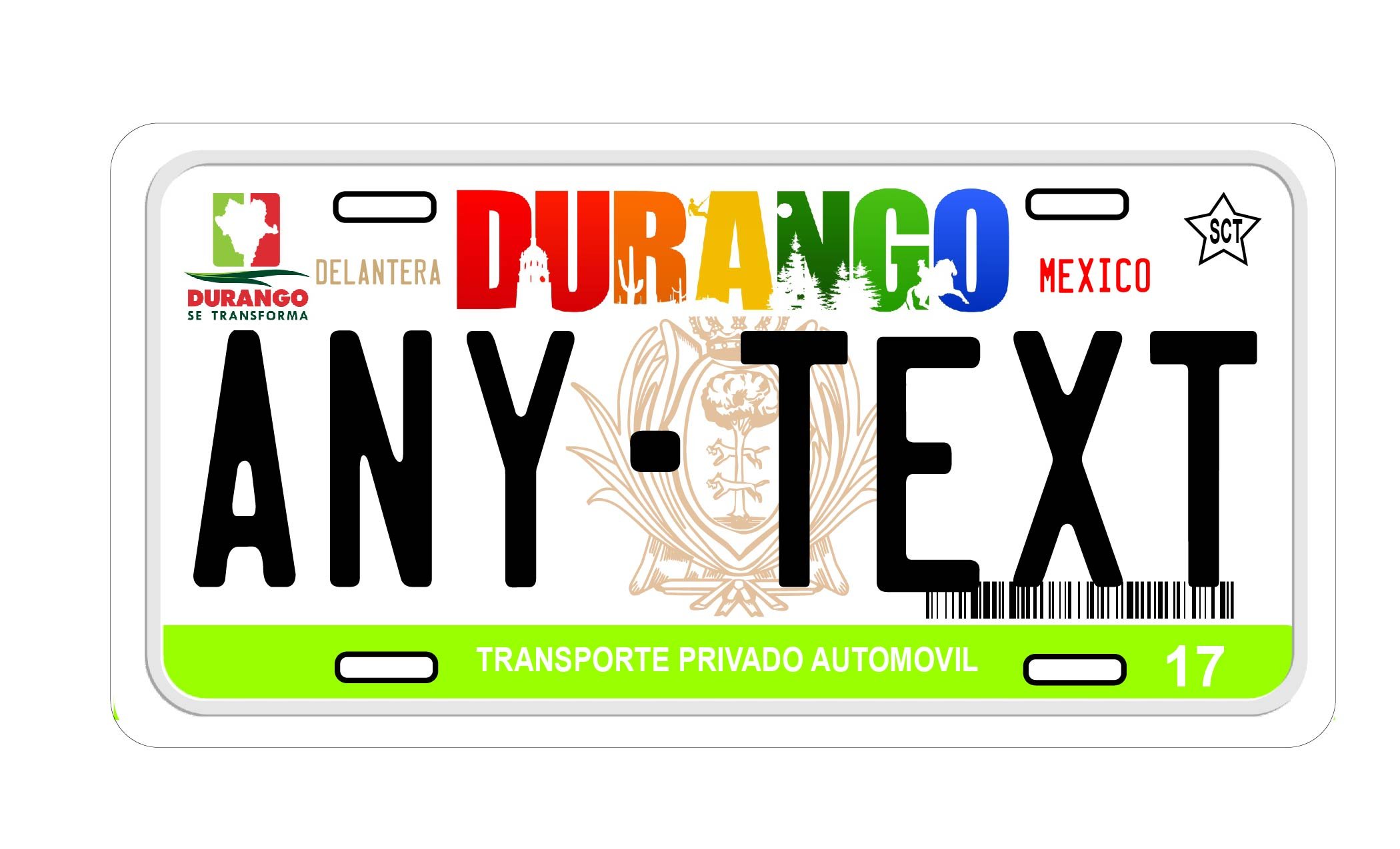 Amazon.com: Durango Mexico License Plate : Automotive