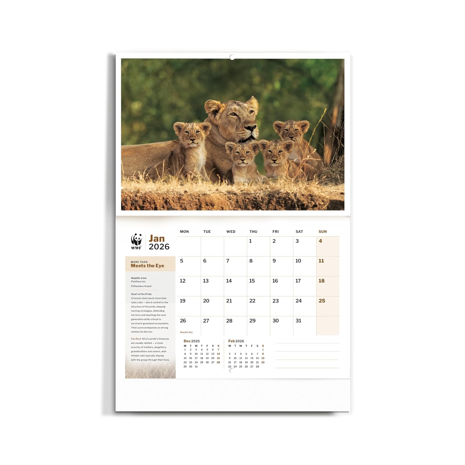 WWF-India 2026 Wall Calendar – More Than Meets the Eye | 12 Striking ...