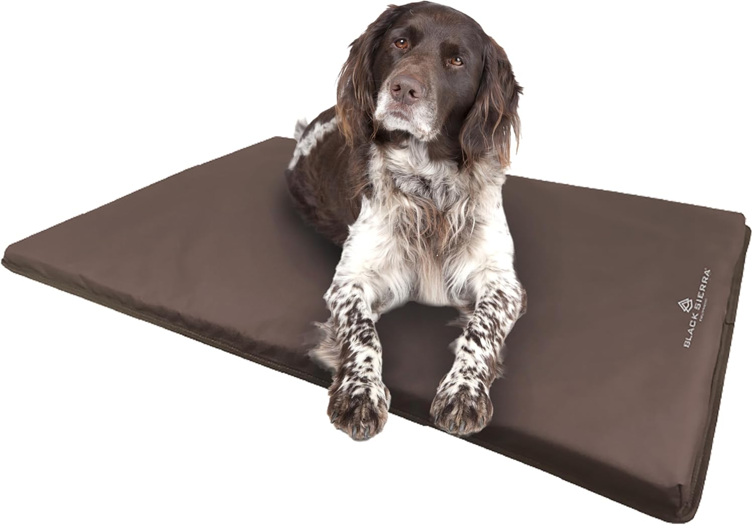 Black Sierra Extra Large Dog Kennel Pad, 1 Inch Thick Padding Measures ...