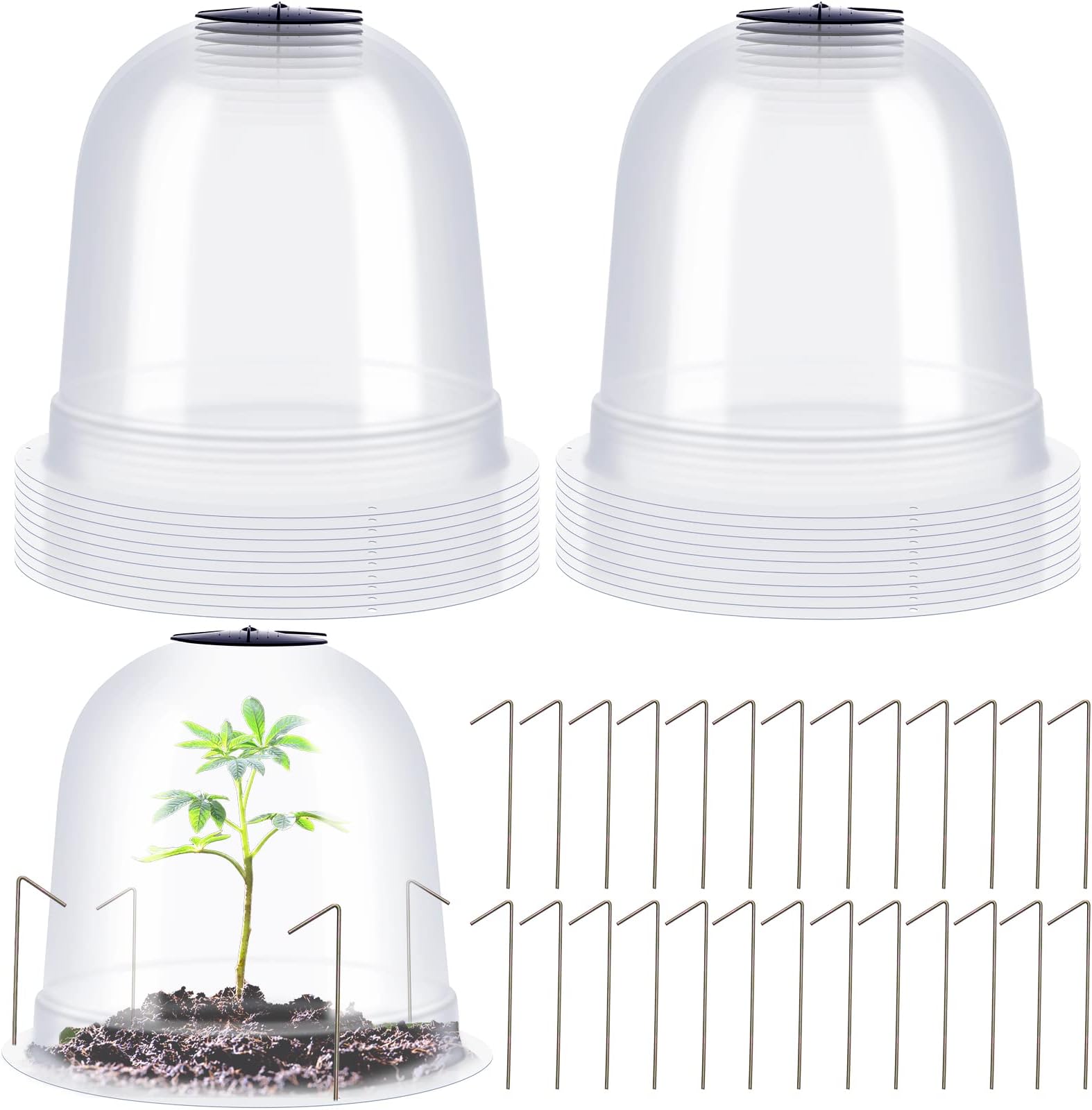 Amazon.com : 30 Pack Garden Cloche Plant Dome Cover,Thickened PVC ...