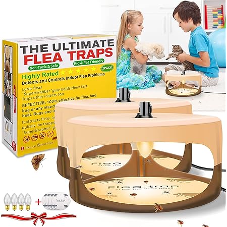 Amazon.com: Enforcer Flea Killer For Carpets Multiple Insects Powder 20 ...