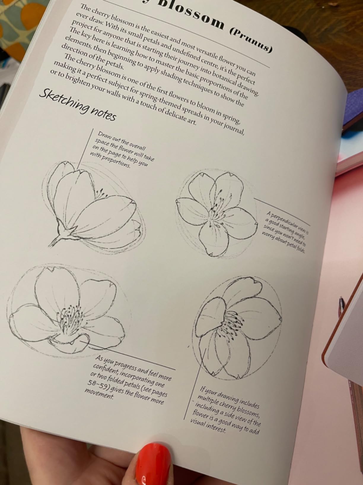 The Kew Book of Drawing Flowers: Failsafe lessons for drawing floral ...