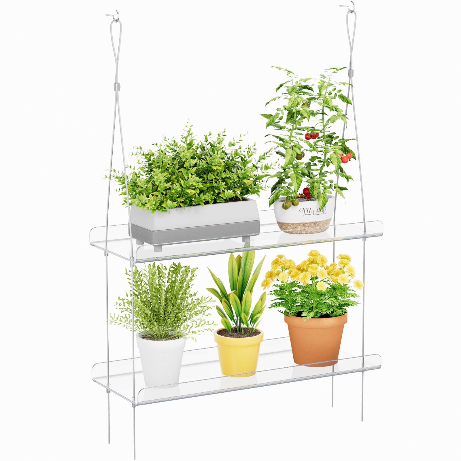 Amazon.com: Lifewit 2-Tier Window Plant Shelves 15 inch, Acrylic ...
