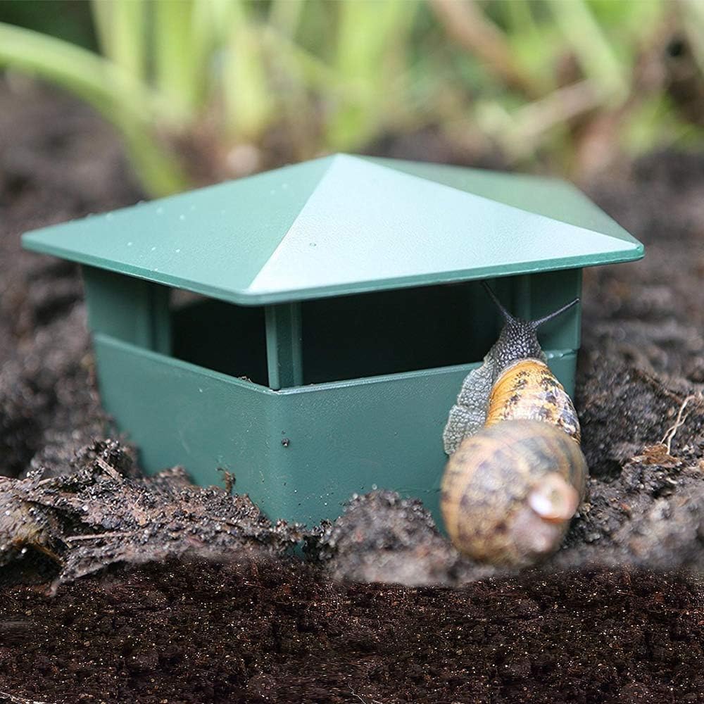 Skystuff 6Pcs Insect Traps Beer Slug Repellent Cage Non Toxic with 2Pcs ...