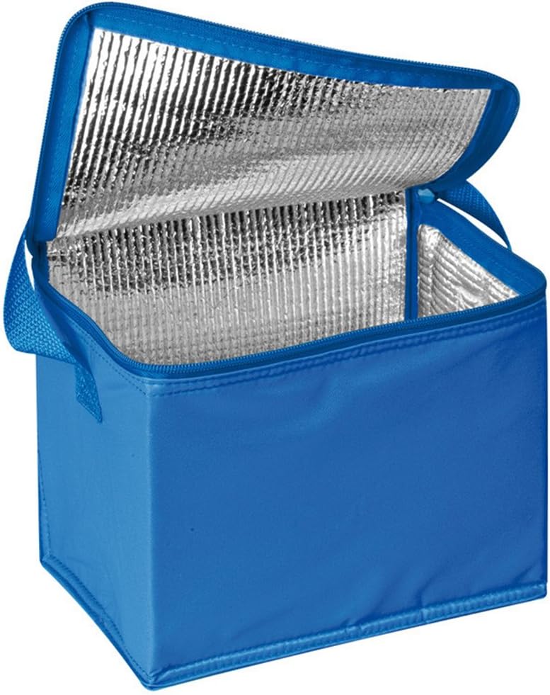 Thermos 157961 Medium Cool Bag, Polyester, Navy, 6.5 Litre : Amazon.co ...